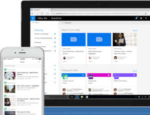 Microsoft Teams vs Outlook Groups vs Yammer Communities